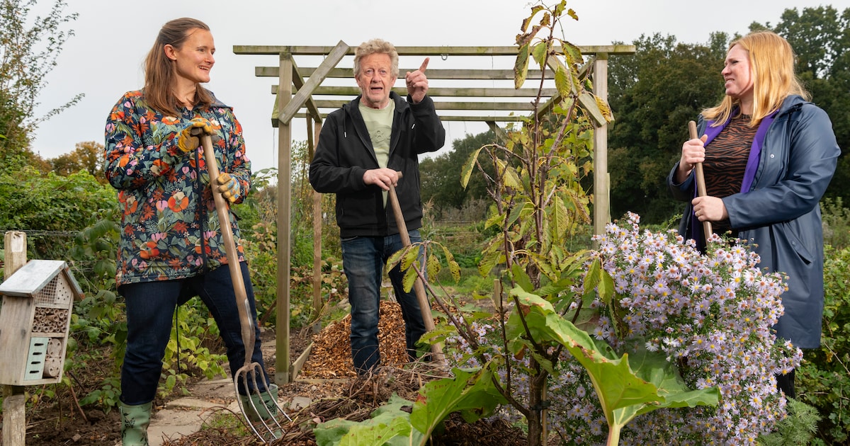 IJssellandschap draagt beheer van moestuinen over: ‘Volkstuinen zijn zo ...