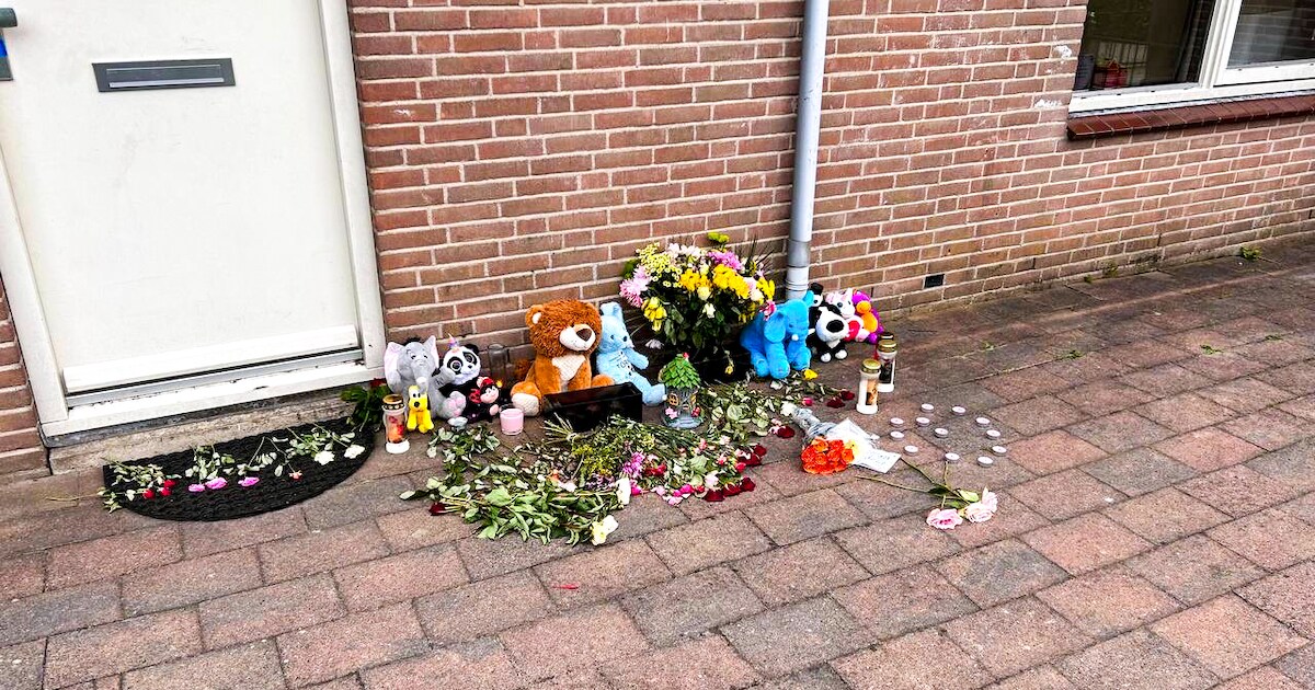 Vrouw (36) wordt langer vastgehouden voor betrokkenheid bij dood van baby in Lelystad | Lelystad ...