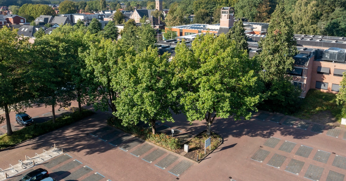 Gemeenteraad Ermelo eist einde peperdure parkeerdeal: ‘Niet meer van ...