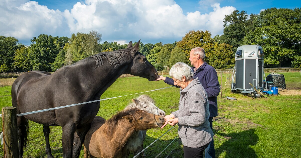 Bewoners in verzet tegen omstreden wijk vol nieuwe huizen in Epe: 'We ...