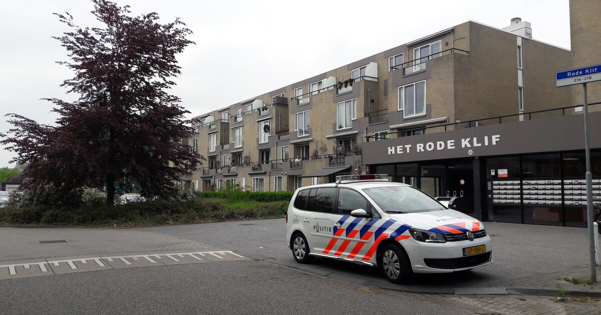 Michael B. krijgt ook in hoger beroep 18 jaar cel voor ‘tbs-moord ...