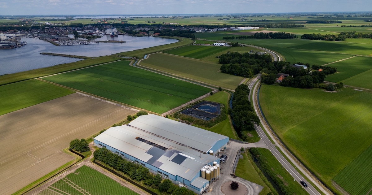 Buren strijden al 3,5 jaar tegen stank van varkens: ‘Wat moet ik dan ...