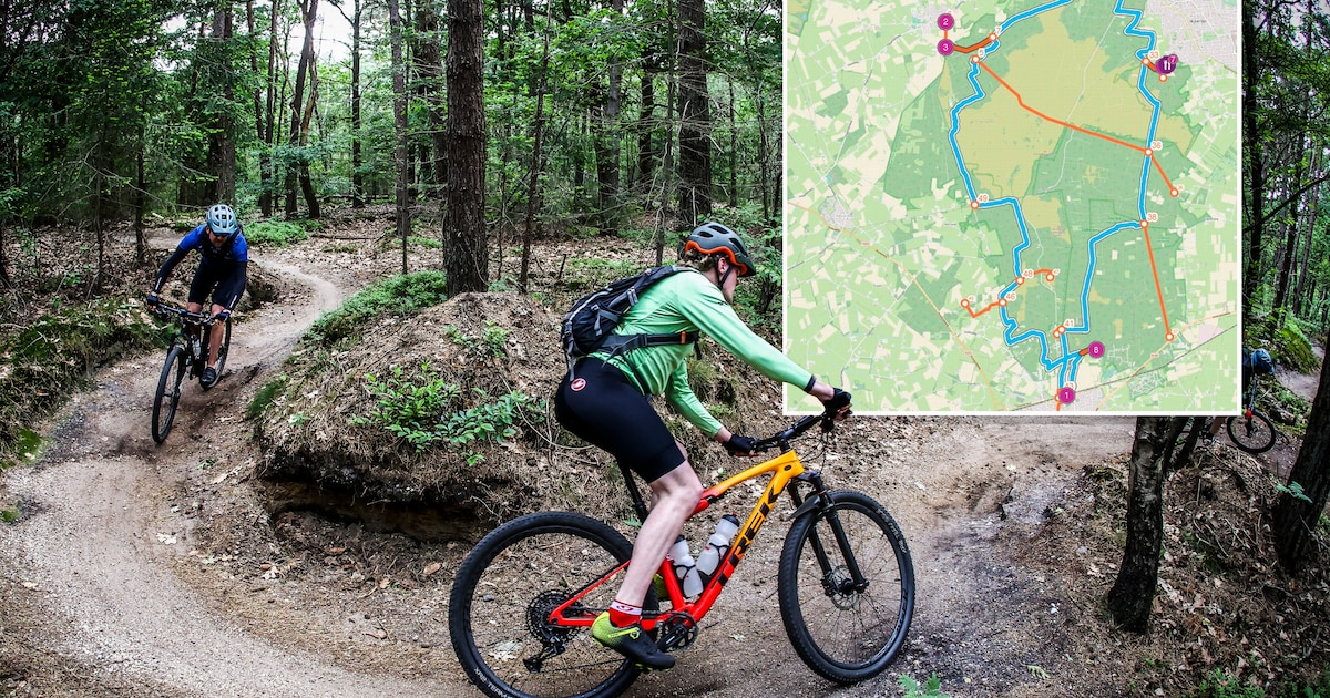 Zandhagedis krijgt voorrang: mountainbikeroute op Sallandse Heuvelrug moet maanden langer dicht ...
