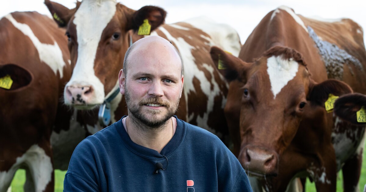 Boer Sam uit Wijhe, hard getroffen door blauwtong, vindt luisterend oor ...