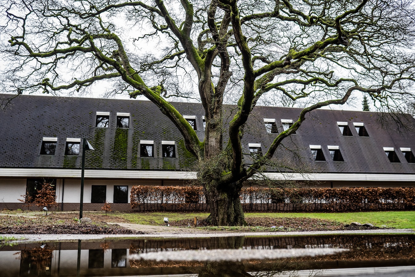 Een paar dagen in het bos en daarna door naar familie: vluchtelingen ...
