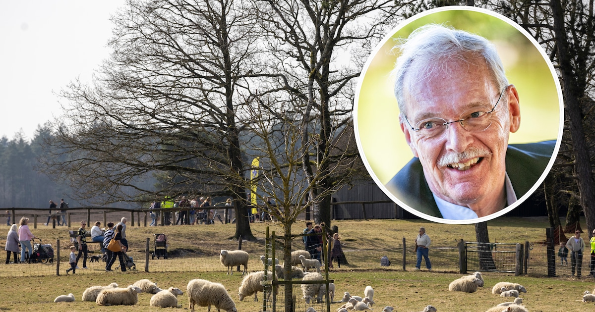 Staatsse­cre­ta­ris bezoekt getroffen schaaps­kooi E­pe-Heer­de ...