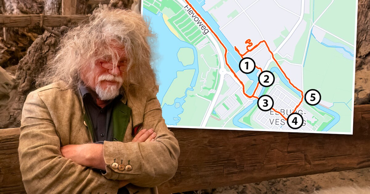 WANDELROUTE | Wandelen op de Veluwe: vakantiegevoel en een bijzondere ...