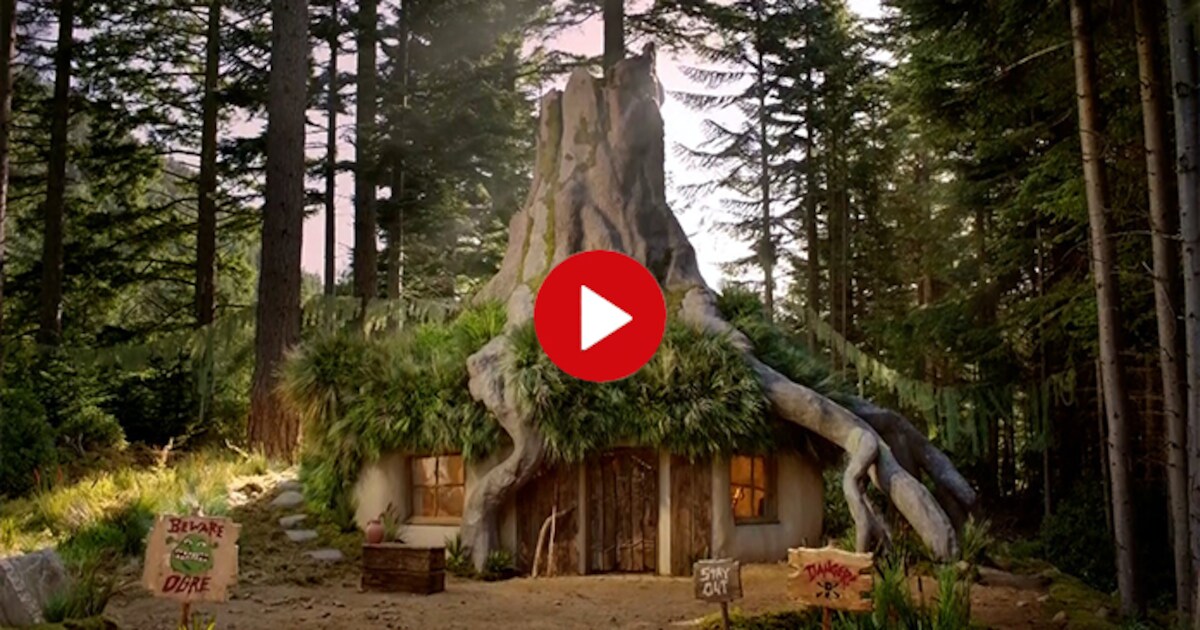 Altijd al eens willen slapen in het huis van Shrek? Dit is jouw kans ...