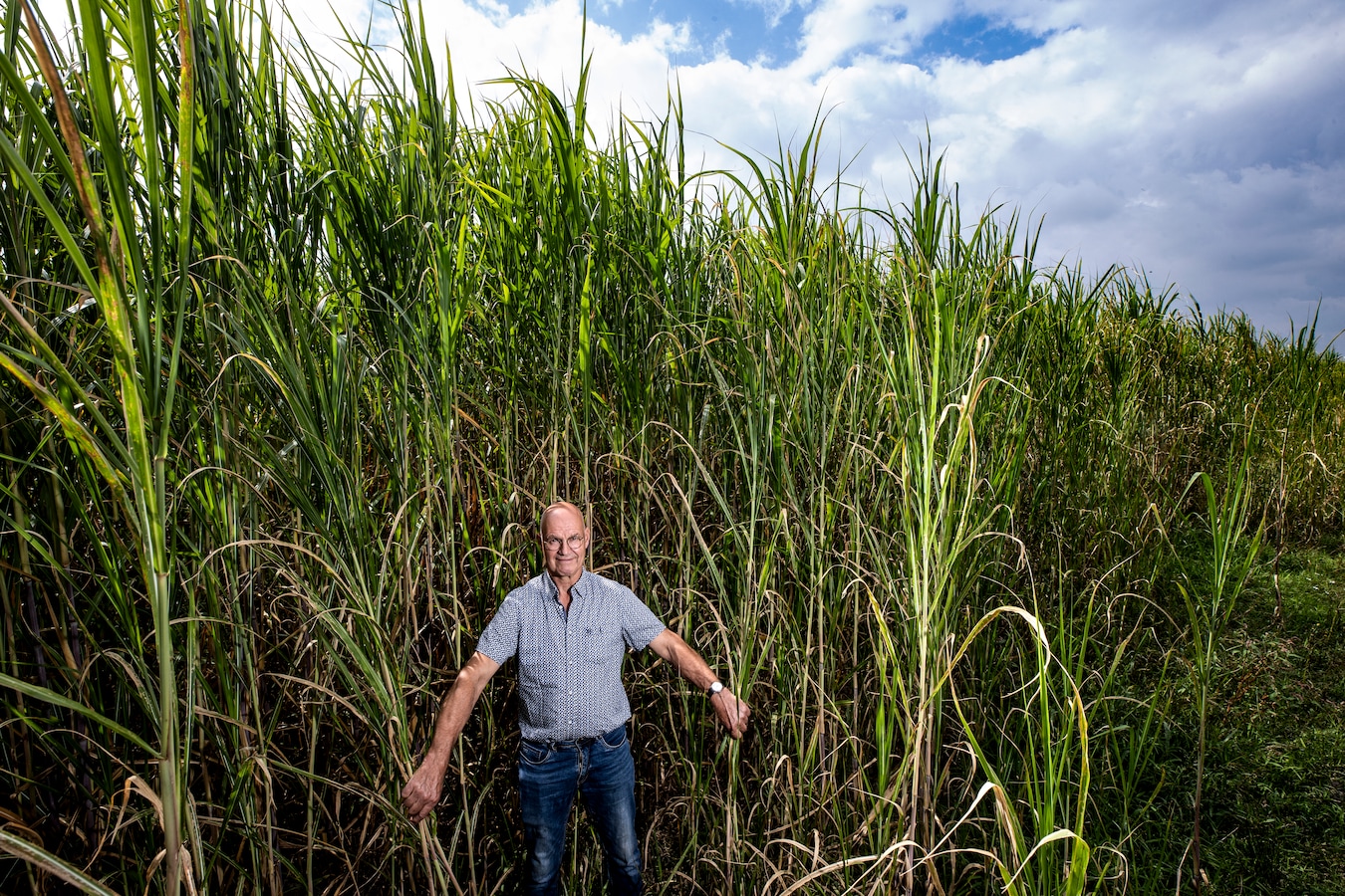 Boer Jos (69) ruilde zijn koeien en varkens in voor ‘het nieuwe goud ...