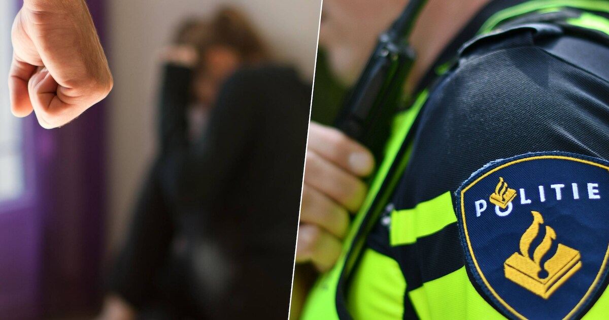 Pleegouders opgepakt voor zwaar mishandelen meisje (10) in Vlaardingen | Binnenland | destentor.nl