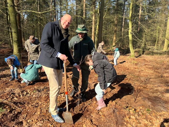 Bomen, bomen en nog eens bomen in Ermelo | Ermelo | destentor.nl