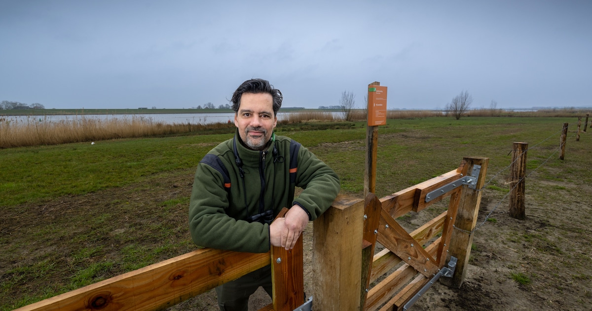 Nieuwe natuur van Reeve ‘ontwikkelt zich goed’, maar er zijn bij ...