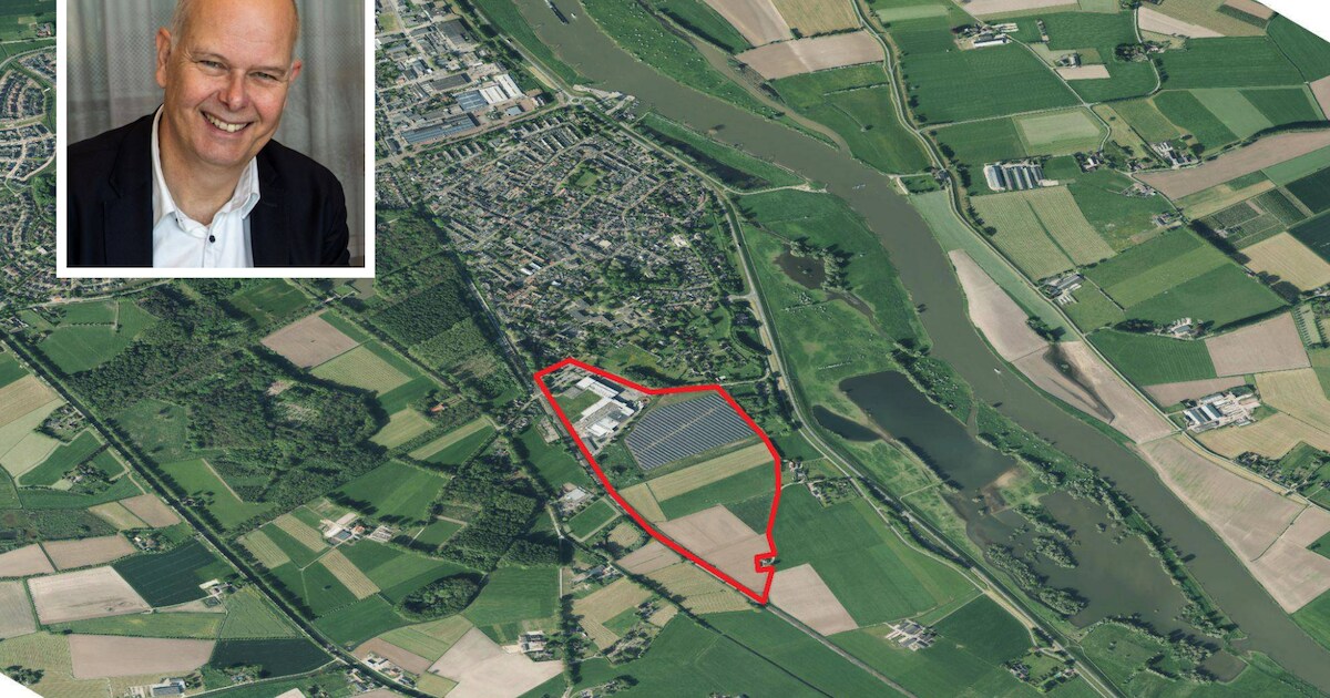 Ruimte voor 300 goede en betaalbare woningen in Wijhe Noord: ‘Het kan ...