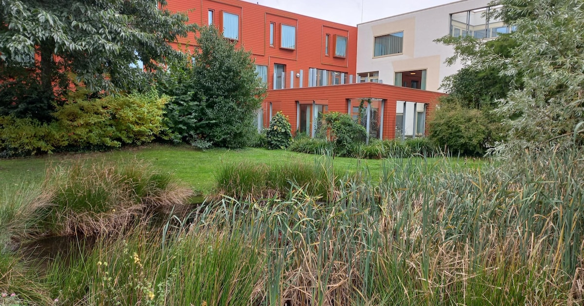 Dimence Groep in Zwolle gekozen tot groene icoonlocatie | Zwolle | De ...