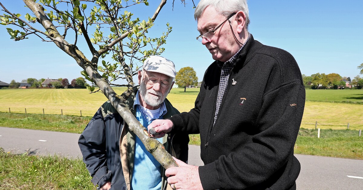 Witte Lint ten prooi aan wind en water | Zutphen | De Stentor.nl