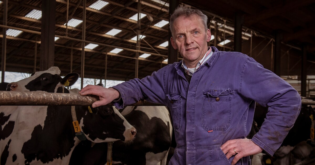 Boer Bert krijgt historisch veel geld voor liter melk (maar heeft ook ...
