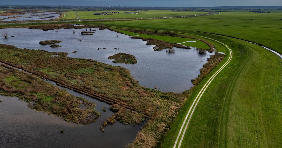 Landschapsarchitect over aanpassen karrenspoor bij Kampen: ‘Fietspad ...