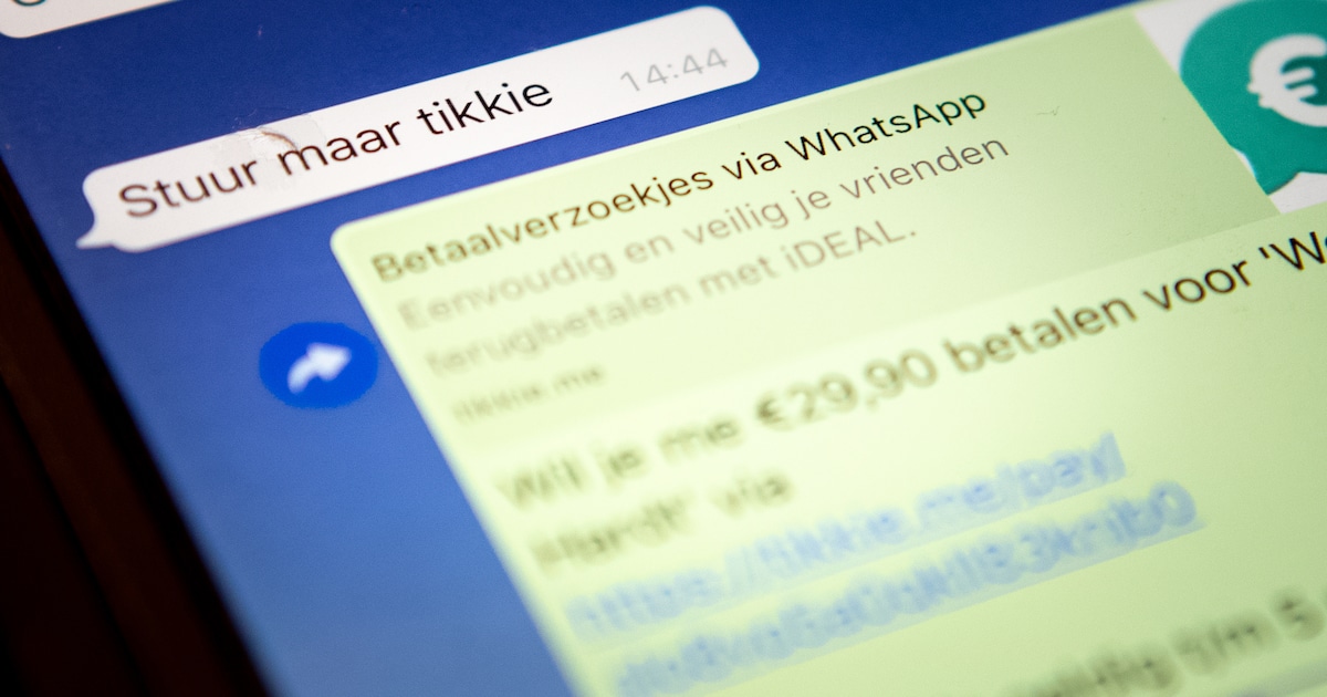 Oplichting? Niels (20) zegt niks te weten van ‘gekke bedragen’ op zijn ...