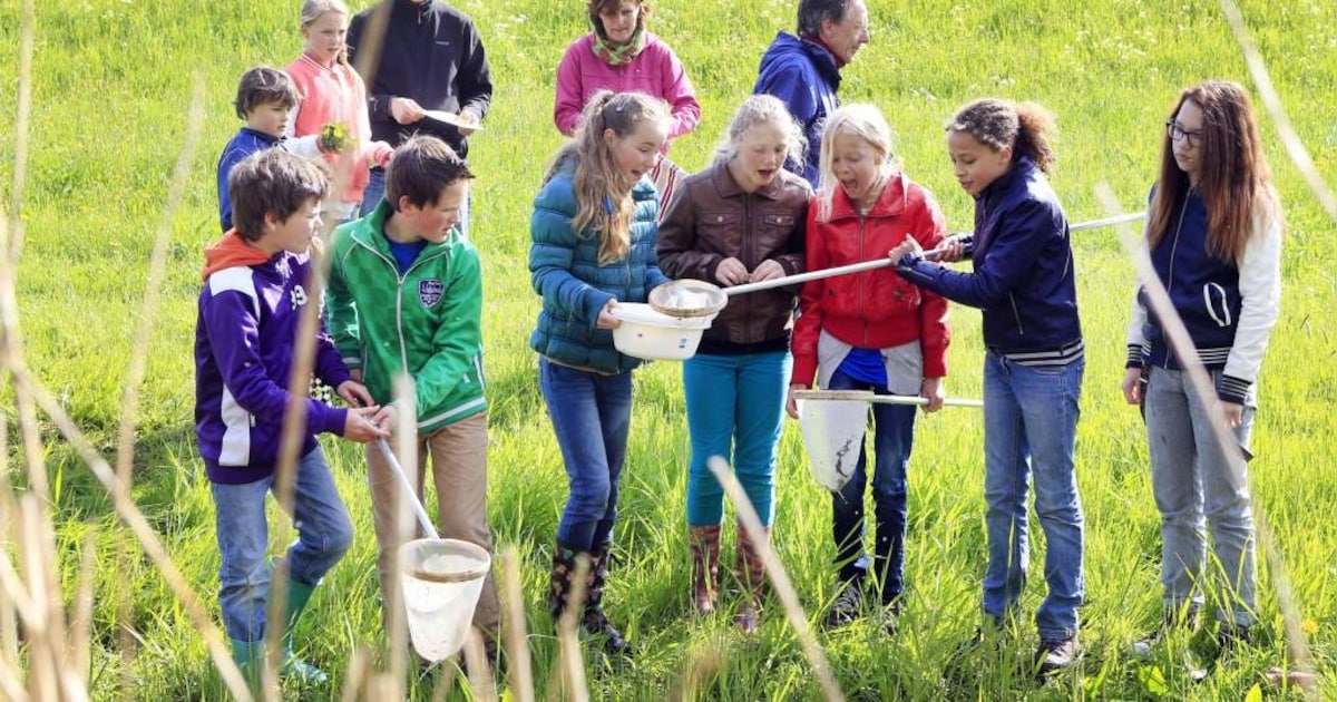 Poep ontleden tijdens Excursie Uiterwaard | Regio | De Stentor.nl