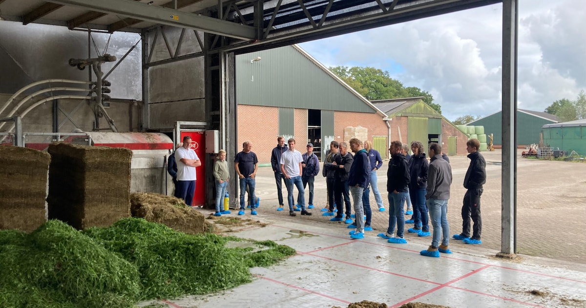Bedrijven in Laren, Lochem en Wilp doen mee aan Loeren bij de Boeren ...