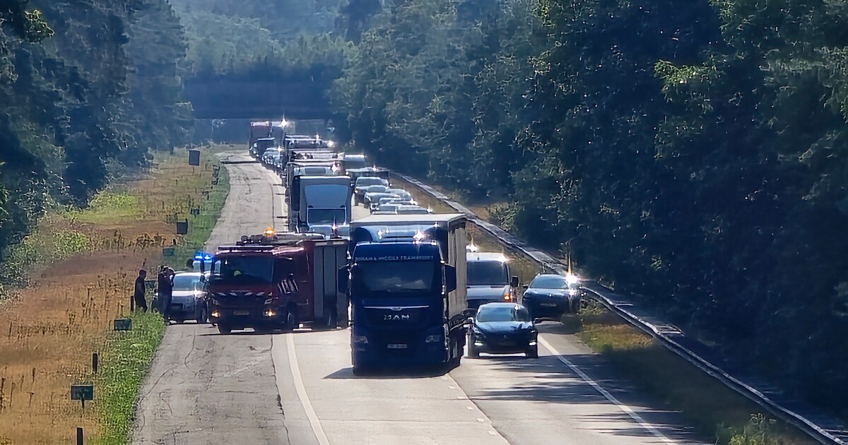 Ongeluk op A28 bij Hulshorst veroorzaakt lange file richting Zwolle, weg weer vrij | Harderwijk ...