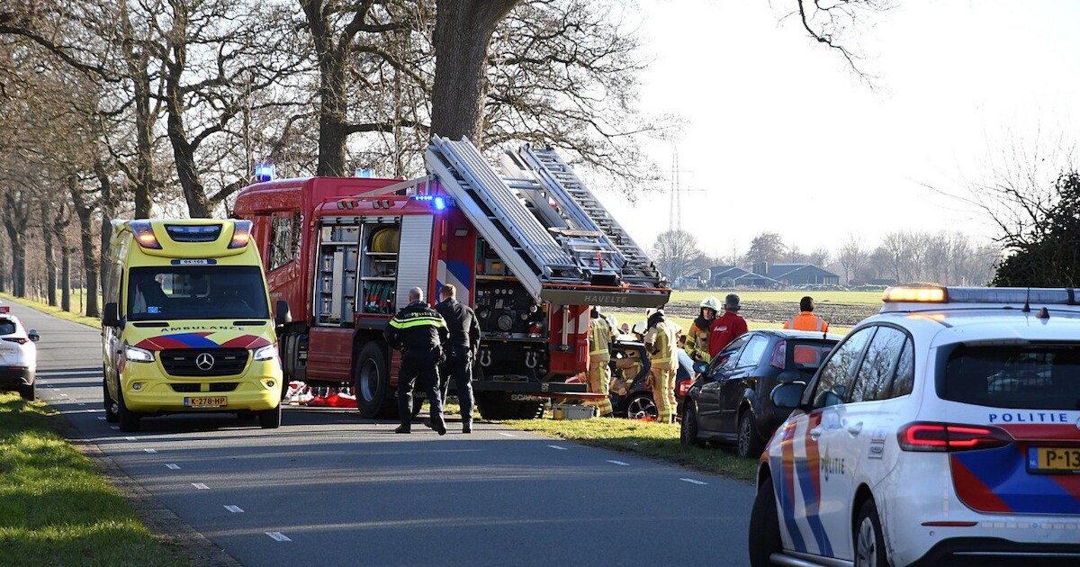 Auto rijdt tegen boom tussen Meppel en Steenwijk: bestuurder overleden ...