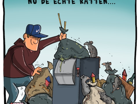 CARTOON | Rattenplaag | Opinie | De Stentor.nl