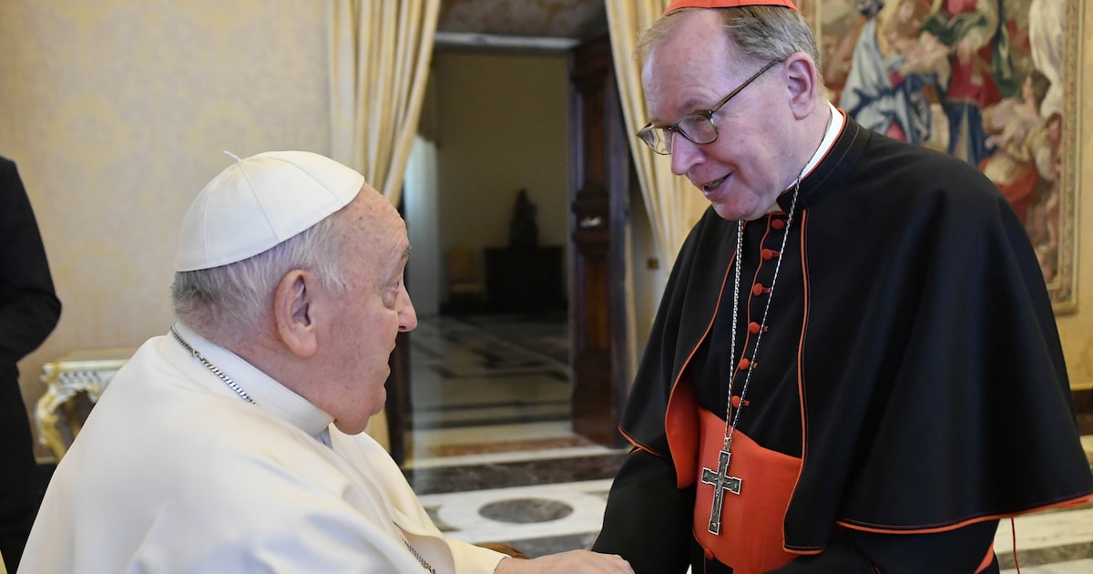 Een Nederlandse paus? Kardinaal Wim Eijk (71) circuleert op lijstjes ...