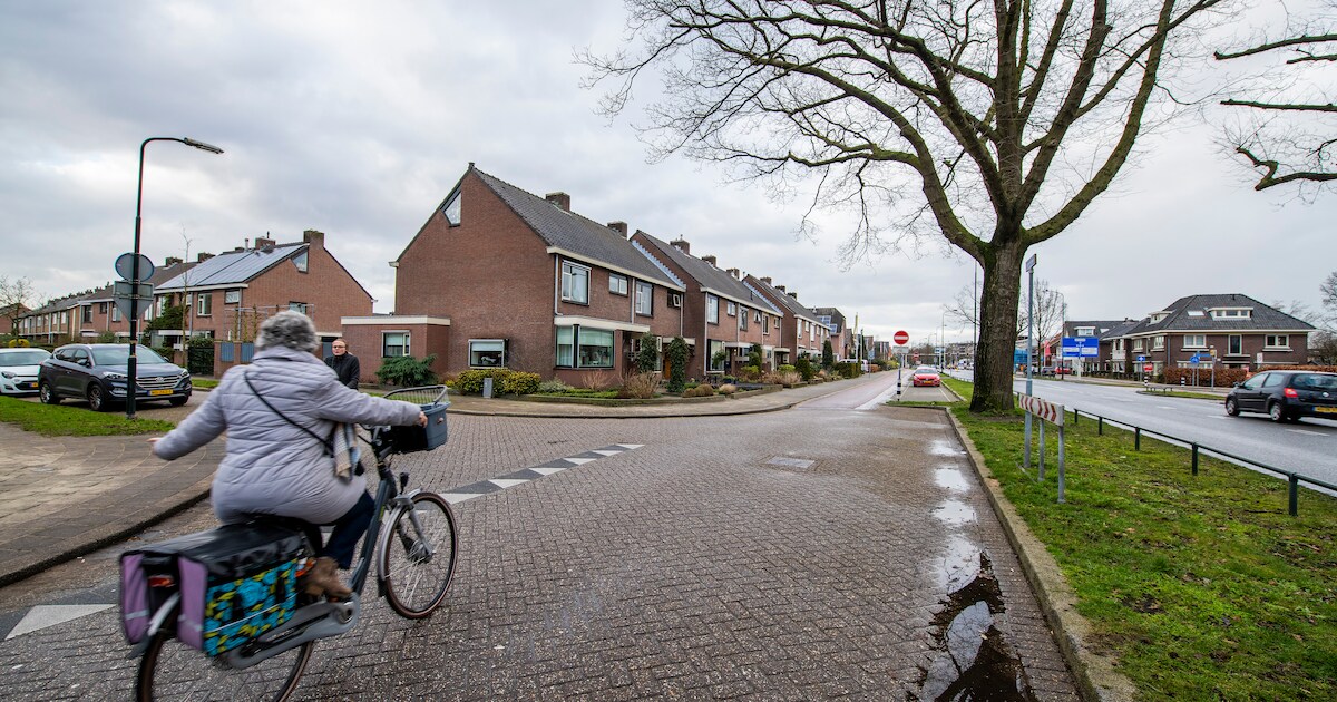 Jordan (11) mishandeld na gooien van besjes naar automobilist in ...