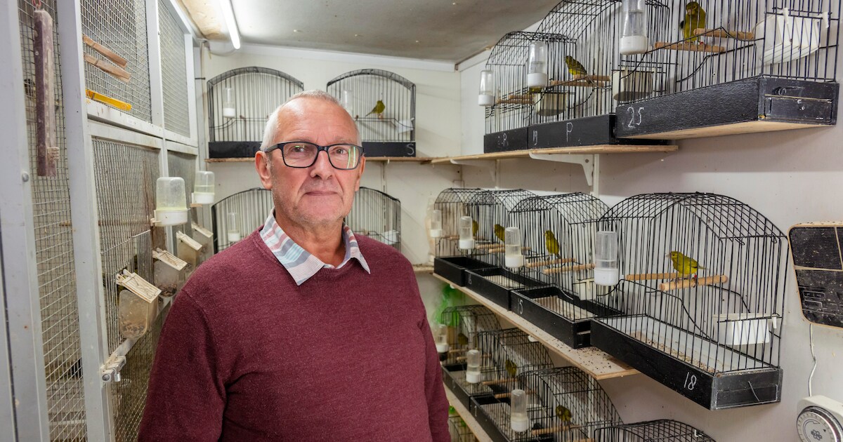 Het had zo mooi kunnen zijn, denkt Andries, tot de vogelgriep ...