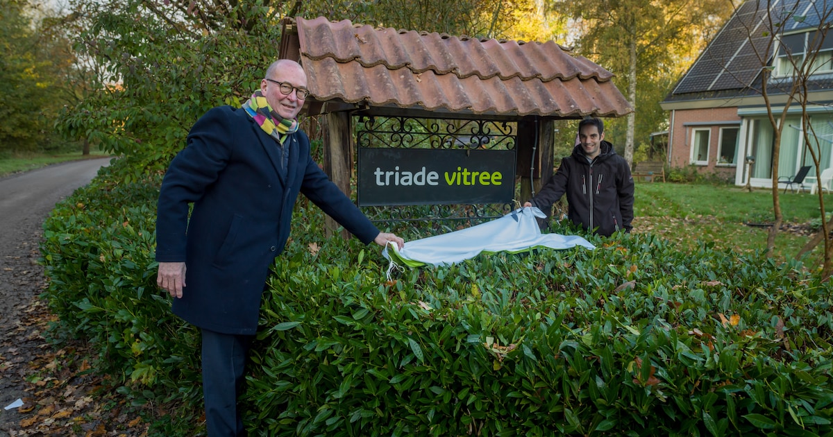 Grote financiële problemen voor zorgaanbieder Triade Vitree: miljoenenverlies, snel ingrijpen ...