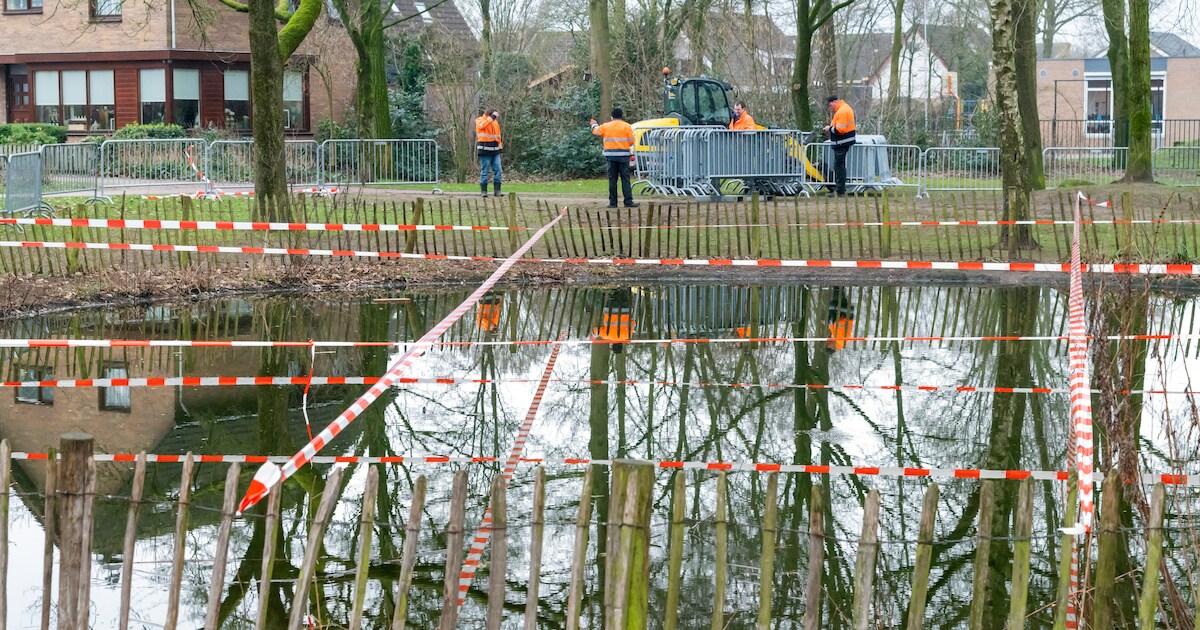 Ganzen en eenden in Putten zijn hun favoriete zwemplek voorlopig kwijt ...