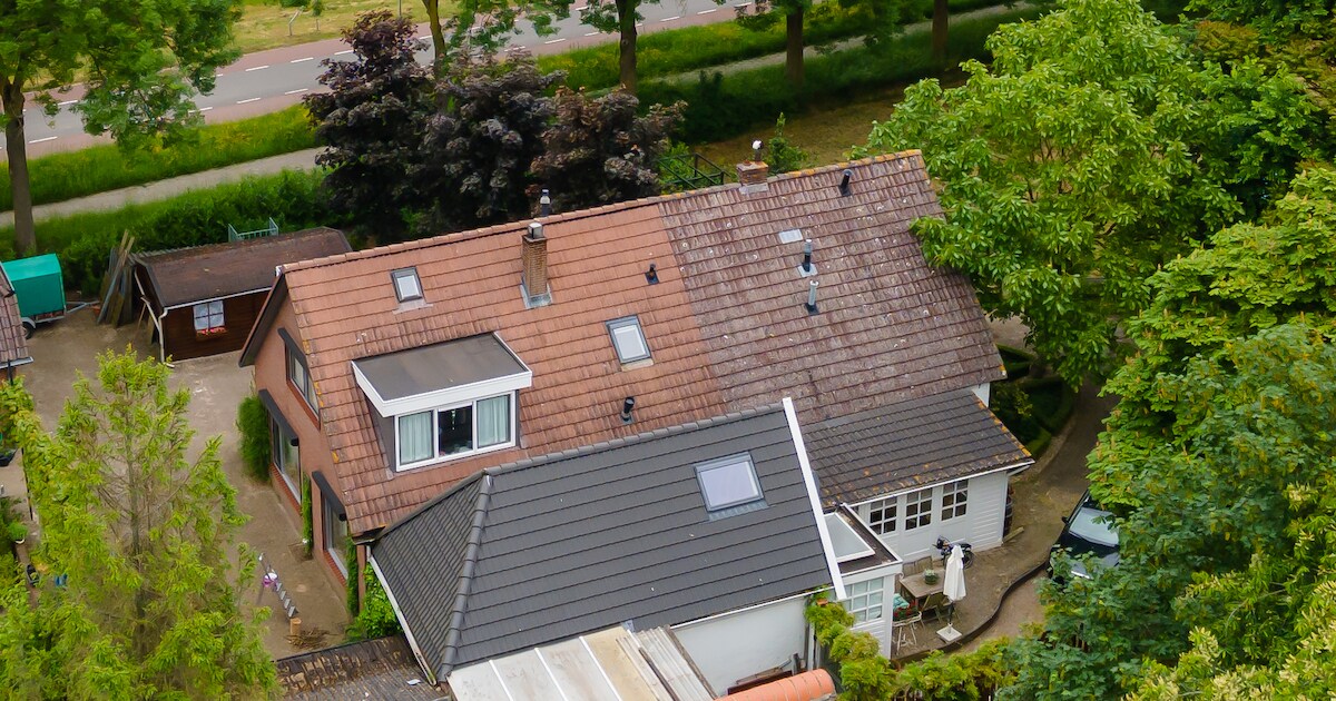Zelfs dakpannen in boodschappentas kunnen de rechter niet overtuigen ...