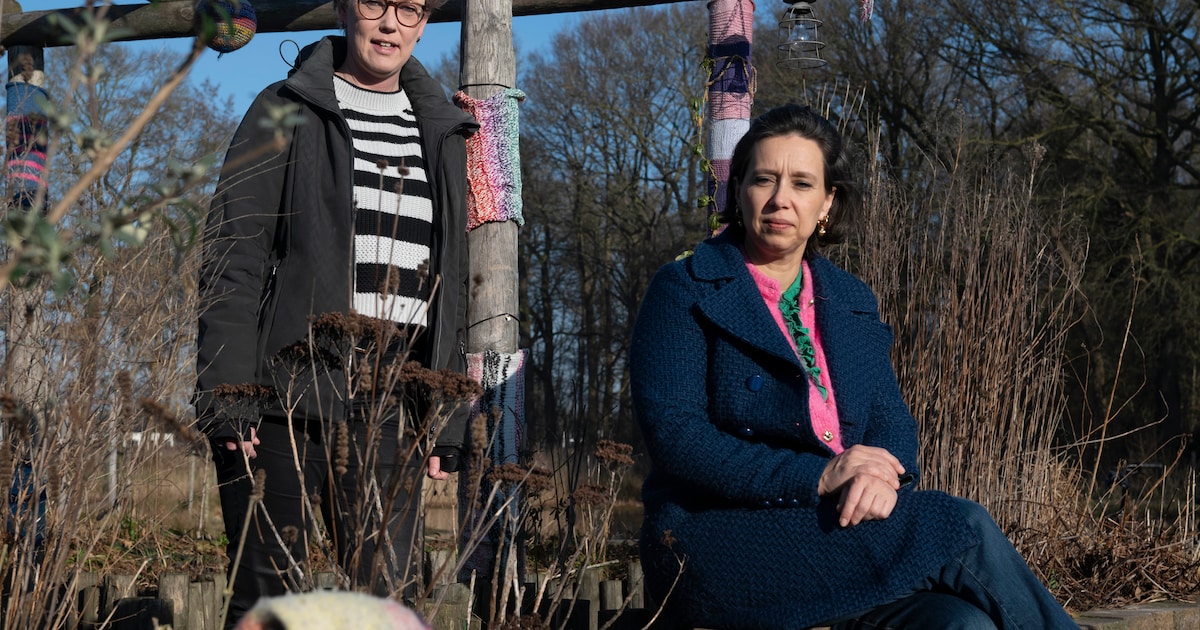 Vandalisme teistert buurttuin in Raalte: ‘Je kunt het zo gek niet ...