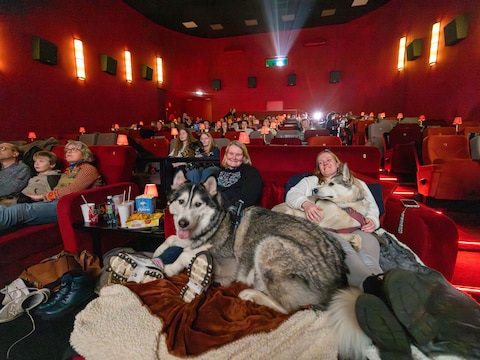 Denise ligt met husky’s Dex (6) en Naira (5) op relaxbed in de bioscoop ...