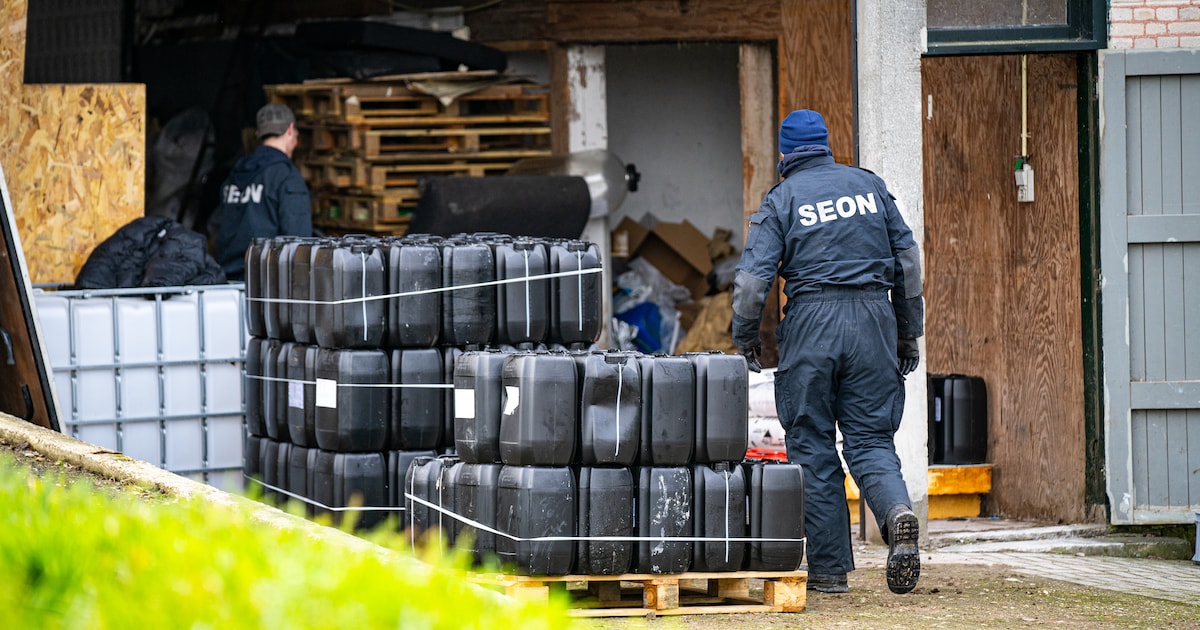 Ali kan zó goed lassen dat de halve onderwereld klant is (en de politie ...