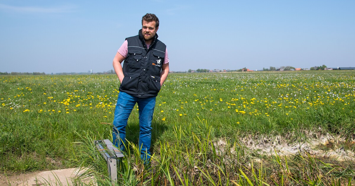 Na investering van 1,5 miljoen euro krijgt weidevogel het lastig in ...