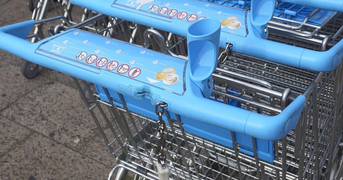Albert Heijn in Lelystadse wijk mist bijna helft van winkelkar­ren ...