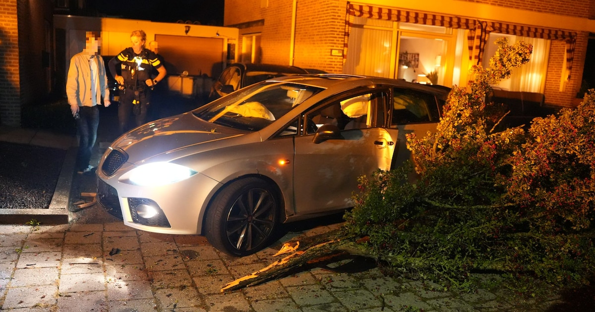 Man (23) rijdt via boom, hek en auto de voortuin in: ‘Opeens grote knal ...