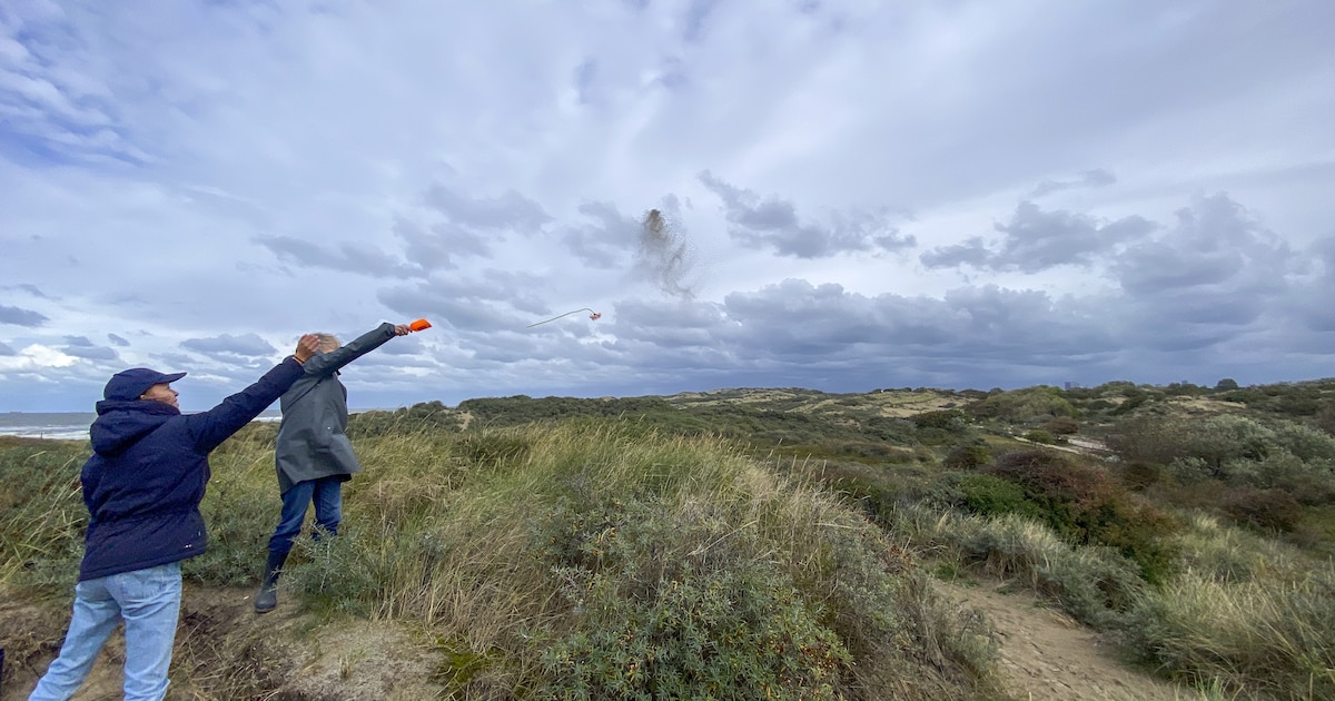 Meer crematies en dus wordt er meer as verstrooid, maar let op: ‘Bij ...