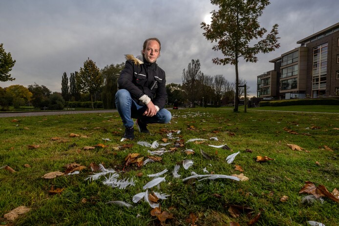 Als Richard ’s nachts naar huis fietst, treft hij twee dode ganzen en ...