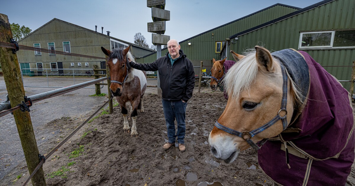 Iets meer lucht (en twee extra paarden) voor de Zwartendijkruiters in ...