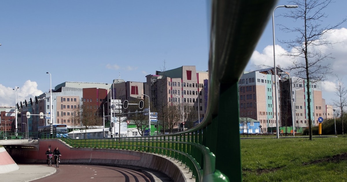 Isala krijgt nieuw beeld 'De Virtuele Engel' | Zwolle | destentor.nl