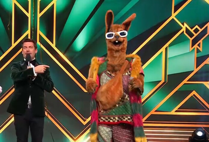Alle hints voor finale The masked singer op een rijtje: wie schuilen er ...