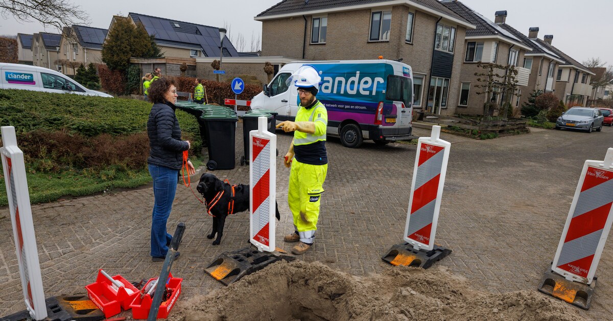 Grote zorgen over propvol stroomnet in Flevoland: ‘Dit is onacceptabel’ | Lelystad | destentor.nl