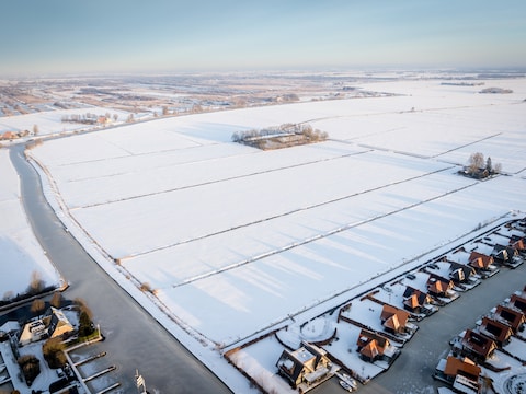 Deze landbouwgrond moet in moeras veranderen om zeldzame vlinder te ...