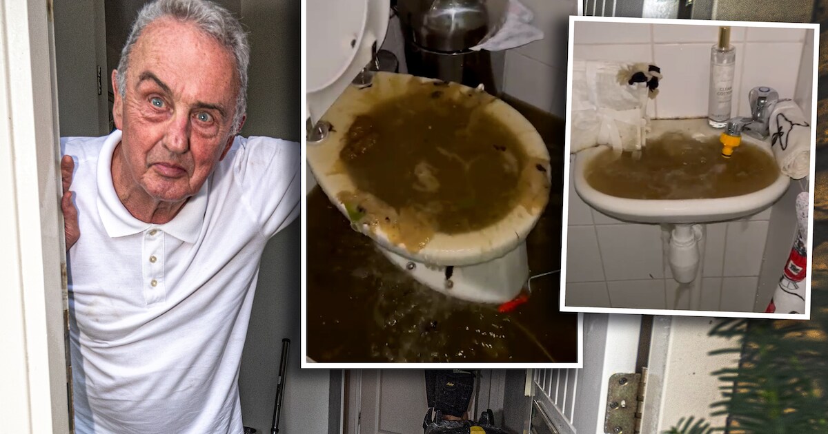 Drollen drijven door huis van Leo na stortbui in Zwolle: ‘In alle ...