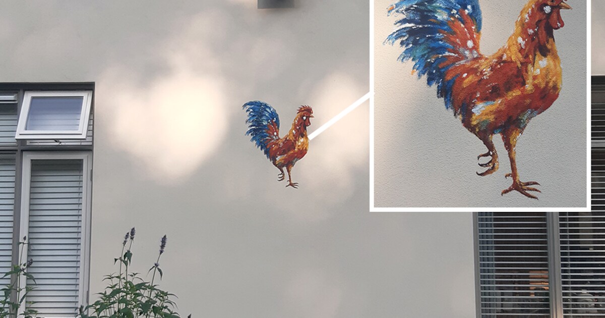 Dit stuurden jullie in: Wat doet die haan in Diepenveen? • Okkenbroek ...