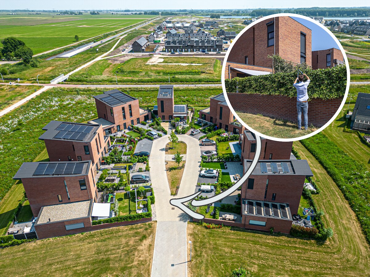 Woede om een schutting of ‘totale narcist’ als buurman: deze burenruzies liepen flink uit de ...