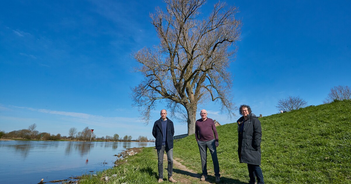 Zutphen krijgt 27 nieuwe Stolpersteine: ‘Elk verhaal erachter is even ...